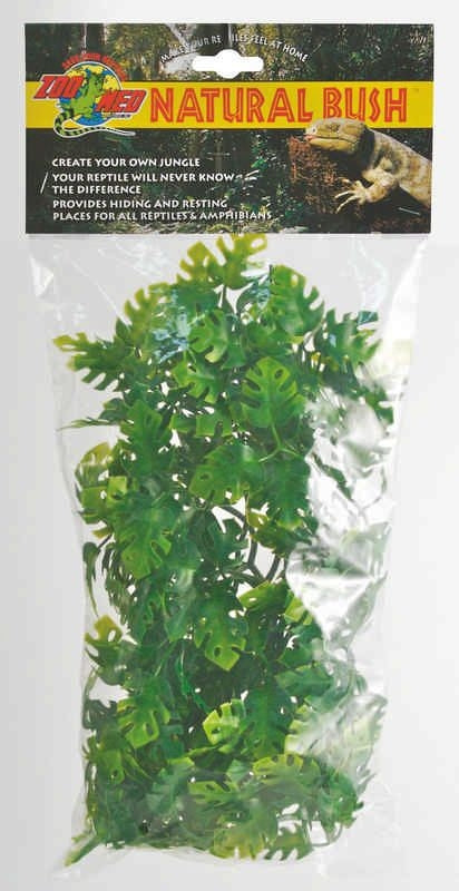 Plant Amazon Phyllos Medium Green– KVSupply